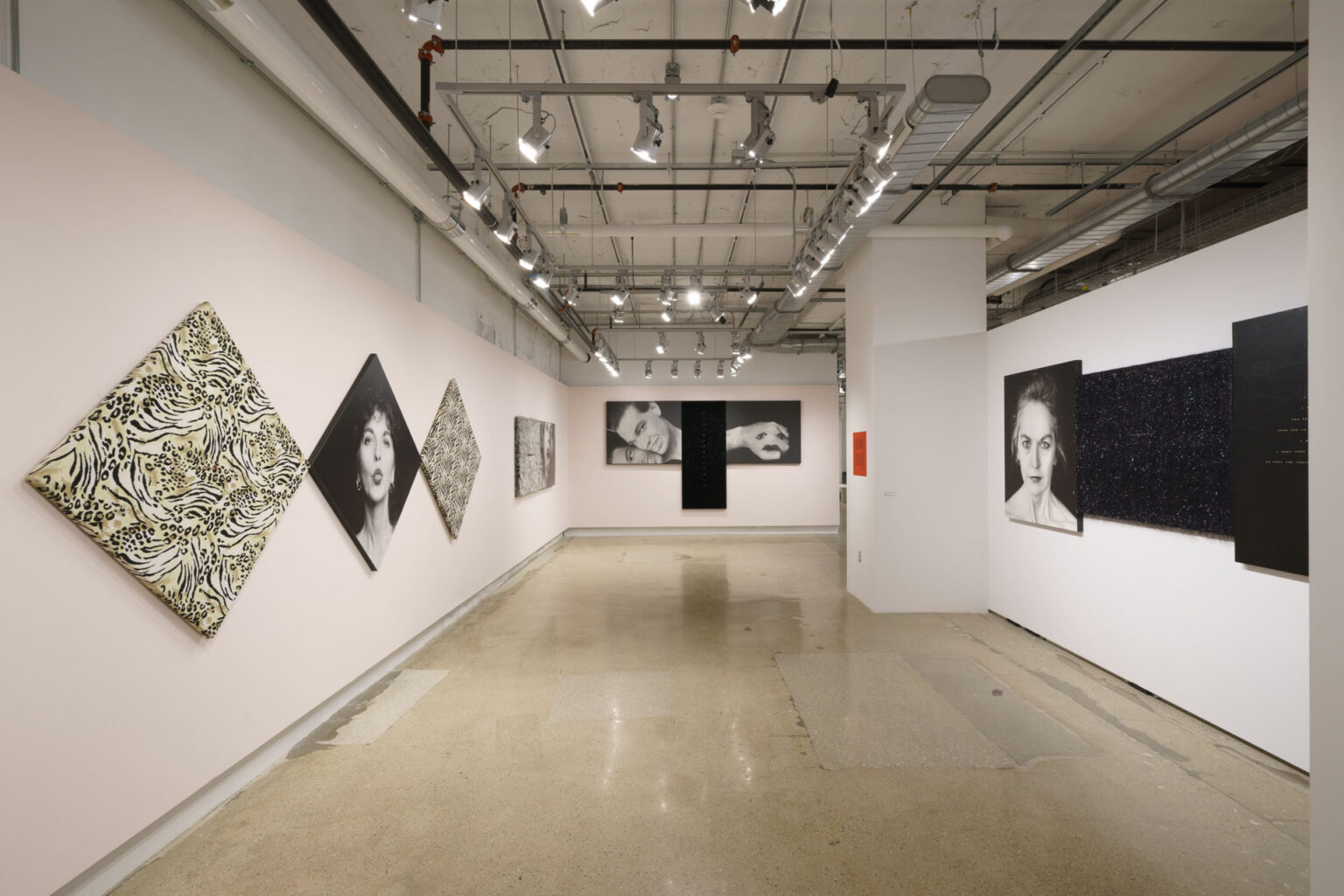 In Your Face: Barbara DeGenevieve, Artist & Educator